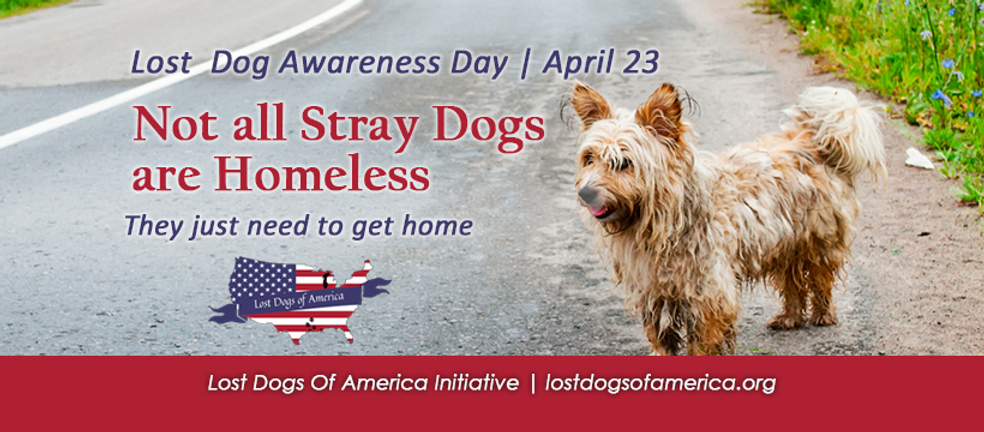 National Lost Dog Awareness Day Is April 23rd