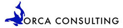 ORCAコンサルティング株式会社｜トップページ