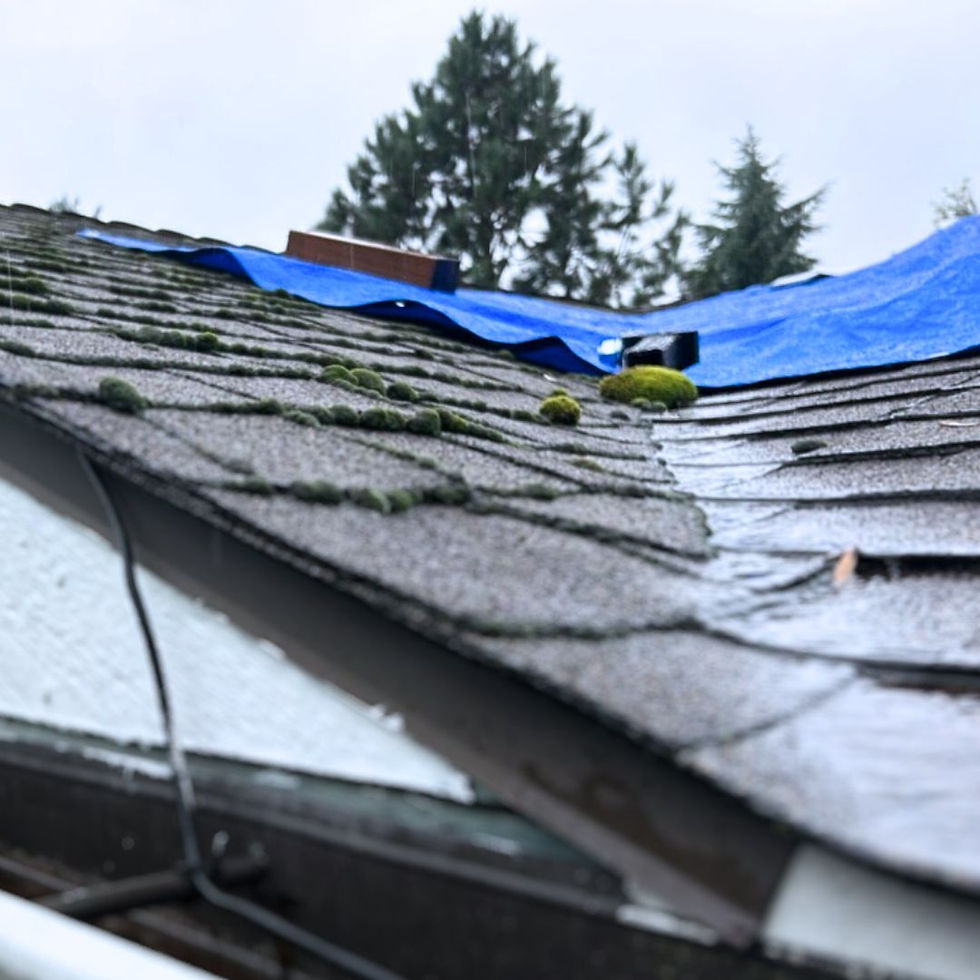 Emergency Roof Leak Repairs: 8 Things You Should Know