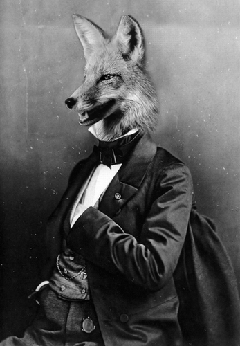 Fantastic Mr Fox | alexander-houlton