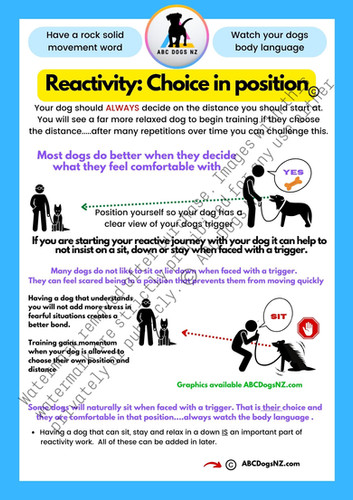 ABC Dogs NZ. Reactivity. Choice of position. Dog training graphic | ABC ...