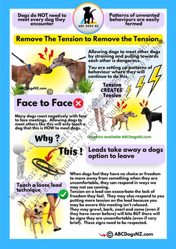 ABC Dogs NZ. Remove the tension to remove the tension. Dog training ...