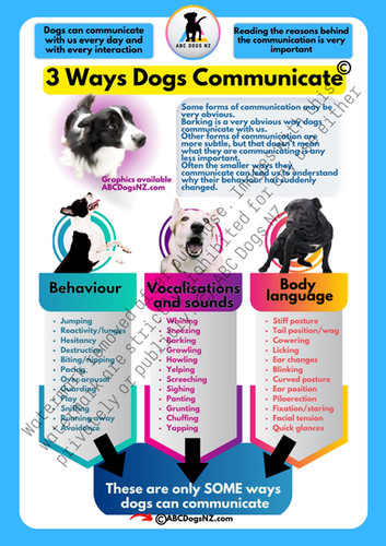 ABC Dogs NZ. 3 ways dogs communicate. Dog training graphic | ABC Dogs NZ