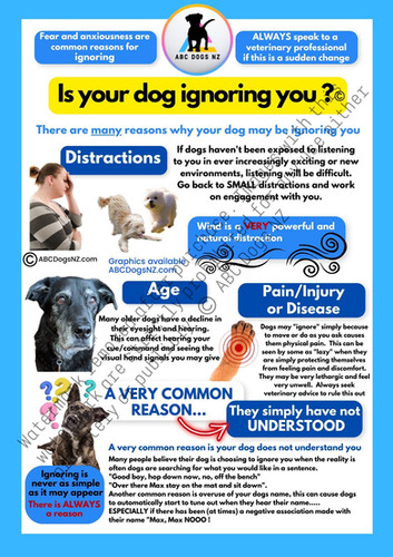 ABC Dogs NZ. Is your dog ignoring you. Dog training graphic | ABC Dogs NZ