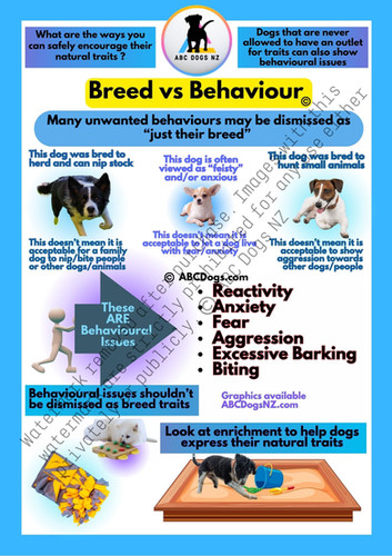 ABC Dogs NZ. Breed VS behaviour. Dog training graphic | ABC Dogs NZ