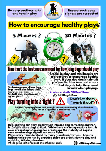 ABC Dogs NZ. How to encourage healthy play. Dog training graphic | ABC ...