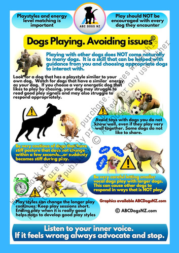 ABC Dogs NZ. Dogs playing. Avoiding issues. Dog training graphic | ABC ...