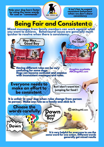 ABC Dogs NZ. Being fair and consistent. Dog training graphic | ABC Dogs NZ