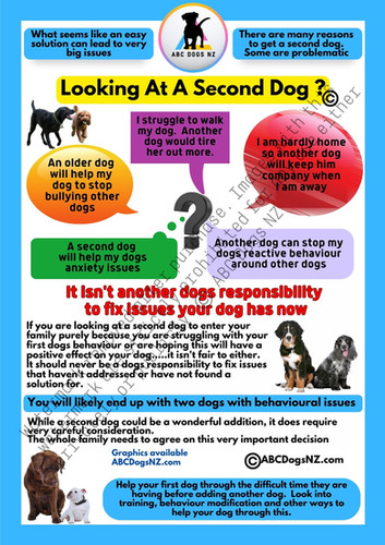 ABC Dogs NZ. Looking at a second dog. Dog training graphic | ABC Dogs NZ