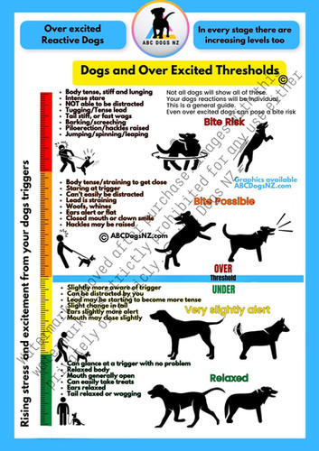 ABC Dogs NZ. Dogs and over excited thresholds. Dog training graphic ...