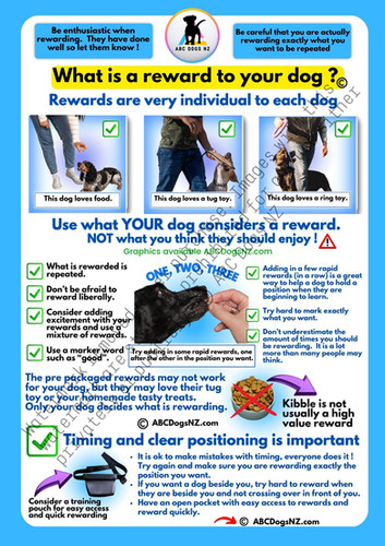 ABC Dogs NZ. What is a reward to your dog. Dog training graphic | ABC ...