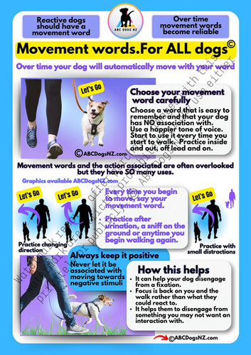 ABC Dogs NZ. Movement words for all dogs. Dog training graphic | ABC ...