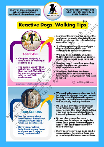 Reactive dogs. Walking tips. ABC Dogs NZ. Dog Training handouts | ABC ...