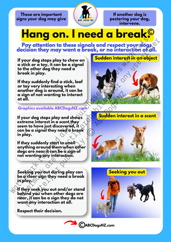ABC Dogs NZ. Hang on I need a break. Dog training graphic | ABC Dogs NZ