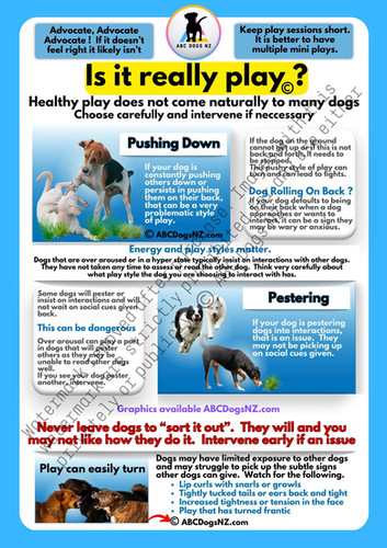ABC Dogs NZ. Is it really play. Dog training graphic | ABC Dogs NZ