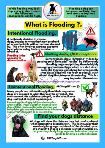 ABC Dogs NZ. What is flooding. Dog training graphic | ABC Dogs NZ