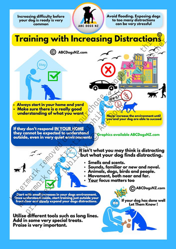 ABC Dogs NZ. Training with increased distractions. Dog training graphic ...