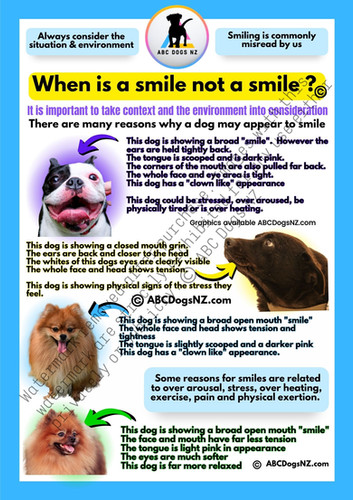 ABC Dogs NZ. When is a smile not a smile. Dog training graphic | ABC ...
