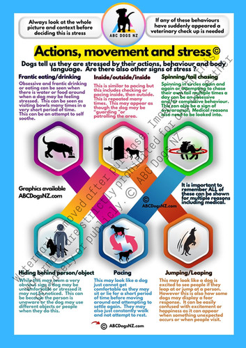 ABC Dogs NZ. Actions, movement, and stress. | ABC Dogs NZ Dog training ...