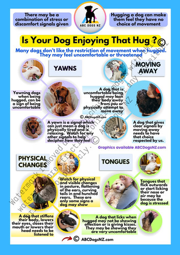 ABC Dogs NZ. Is your dog enjoying that hug. Dog training graphic | ABC ...
