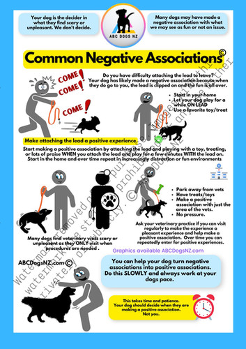 ABC Dogs NZ. Common negative associations. Dog training graphic | ABC ...