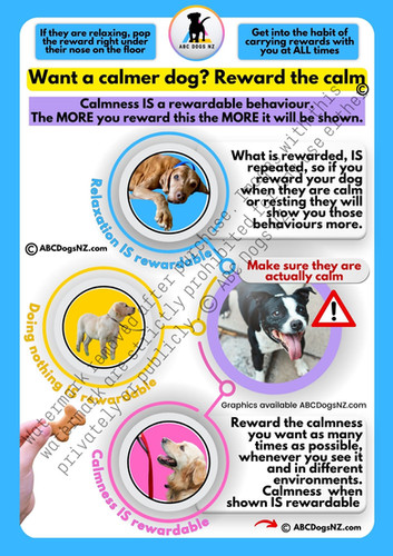 ABC Dogs NZ. Want a calmer dog ? Reward the calm. Dog training handout ...