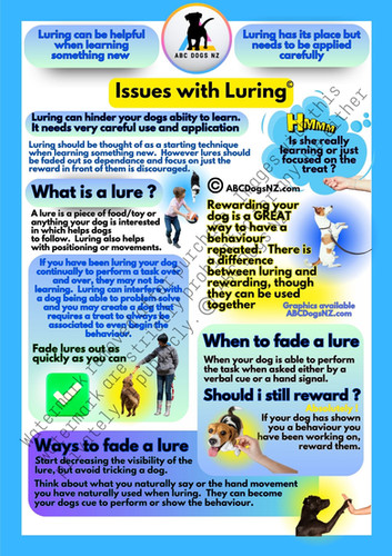 Issues with luring. Dog training graphics. ABC Dogs NZ.
