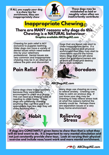 ABC Dogs NZ. Inappropriate chewing. Dog training graphic | ABC Dogs NZ