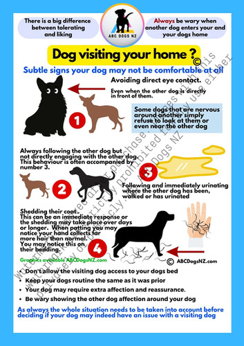 ABC Dogs NZ. Dog visiting your home. Dog training graphic | ABC Dogs NZ