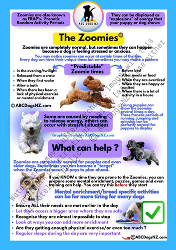 ABC Dogs NZ. The Zoomies. Dog training graphic | ABC Dogs NZ