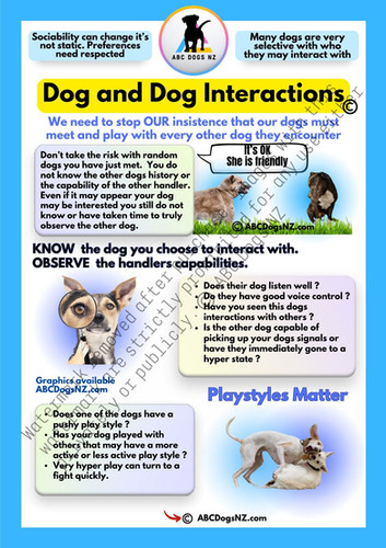ABC Dogs NZ. Dog and dog interactions. Dog training graphic | ABC Dogs NZ