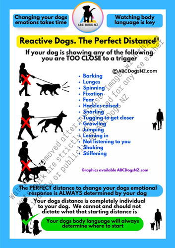 ABC Dogs NZ. Reactive dogs. The perfect distance. Dog training graphic ...