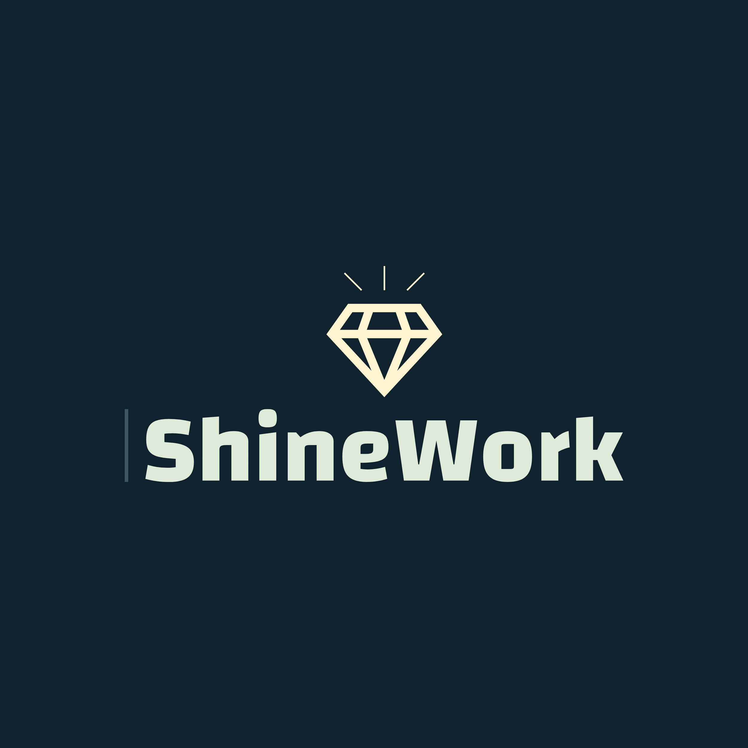 ShineWork - Professionelle Fahrzeugaufbereitung | Bad Waldsee