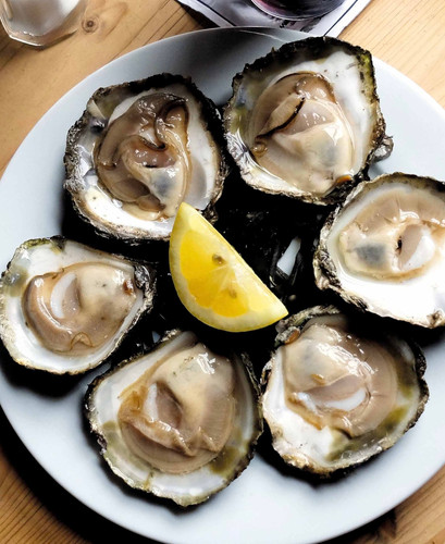 Irish Flat Oysters (Ostrea Edule) | The Shellfish Co Ltd