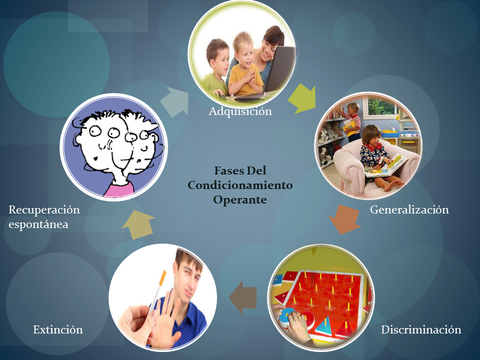 Procedimientos basados en el Condicionamiento Operante de Skinner util