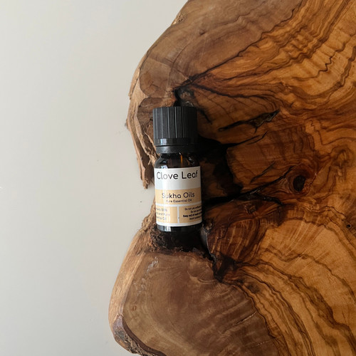 Clove Leaf – Syzygium Aromaticum | Sukha Oils & Wellbeing