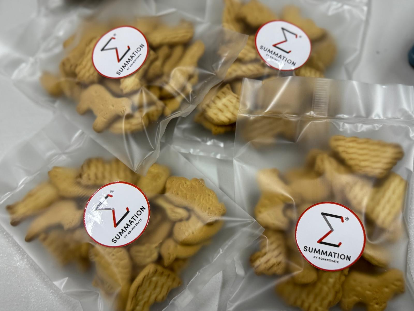 Retro Biscuit | Seven Joy Event