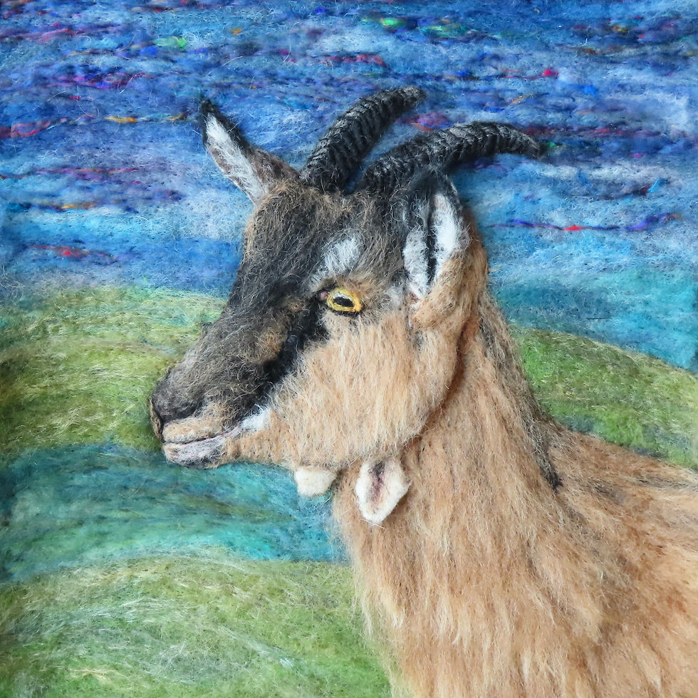 British Alpine Goat | ullswaterfeltart