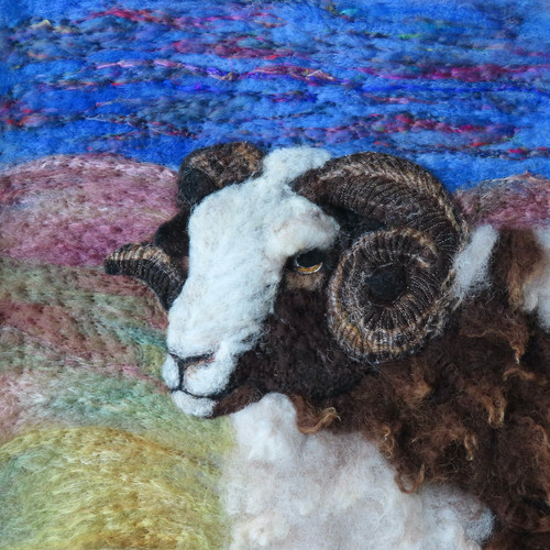 Jacob ram | ullswaterfeltart