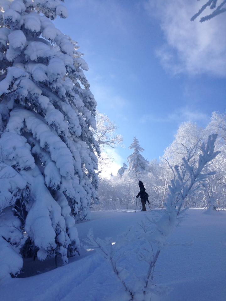 HOME | furanosnowtours