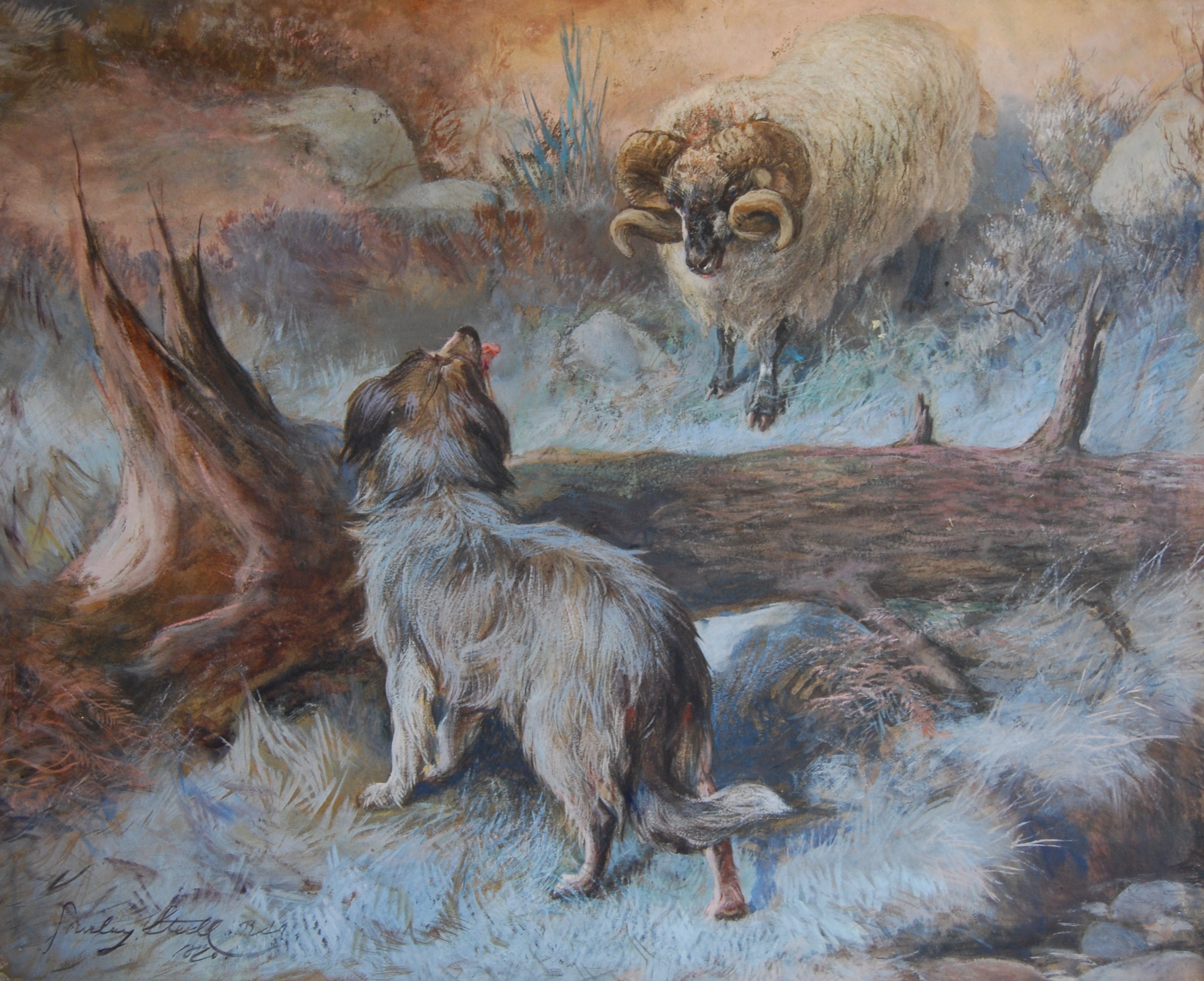 Steell, Gourlay | Anthony Woodd