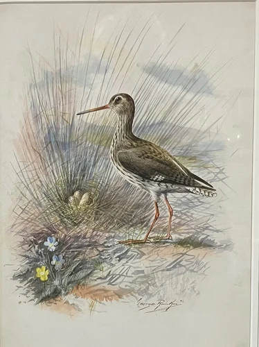 George Rankin (1864-1937) - Redshank | Anthony Woodd Gallery