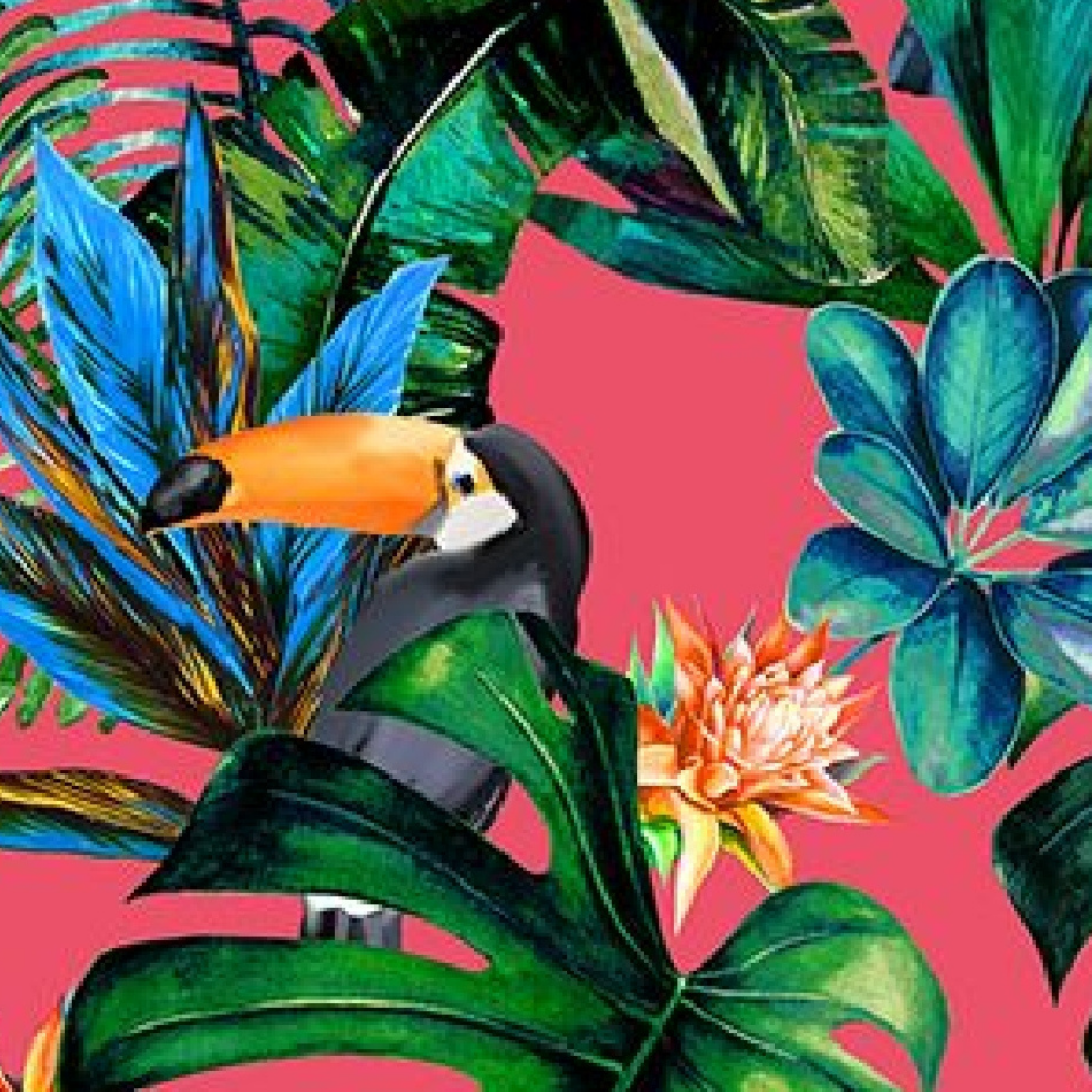 Nia Holland | Helen B Johnson