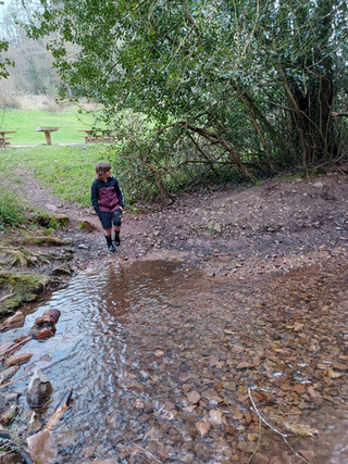 Gallery | Quantock Education