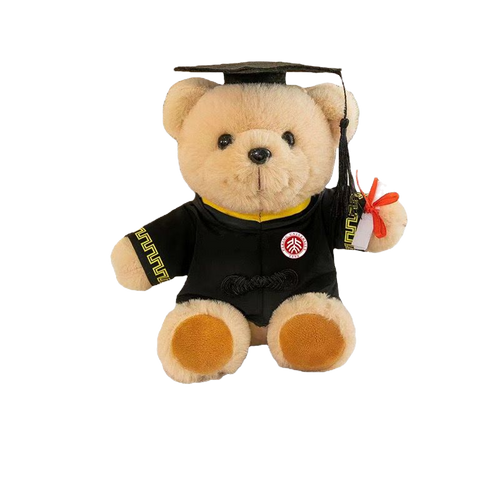 Graduation Bear Singapore | Customized Graduation Bear Singapore