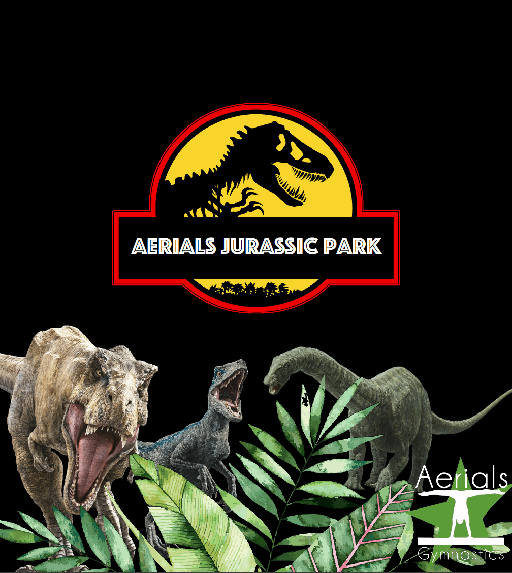 Summer Program 2 - Duagh - Afternoon Session | Aerials GC