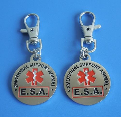 Collection of Working Dog Equipment at All Access Canine