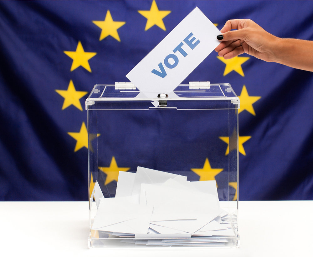 EU Elections: Who are the Players and What's at Stake?