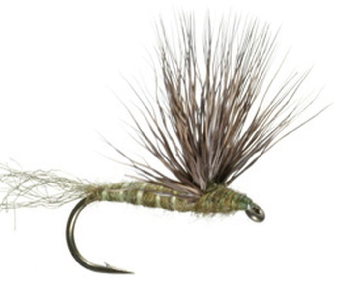 The Best Mayfly Fly Patterns