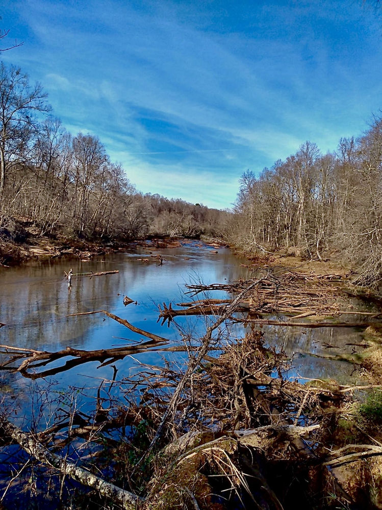 Best Place To Go Fly Fishing in Georgia